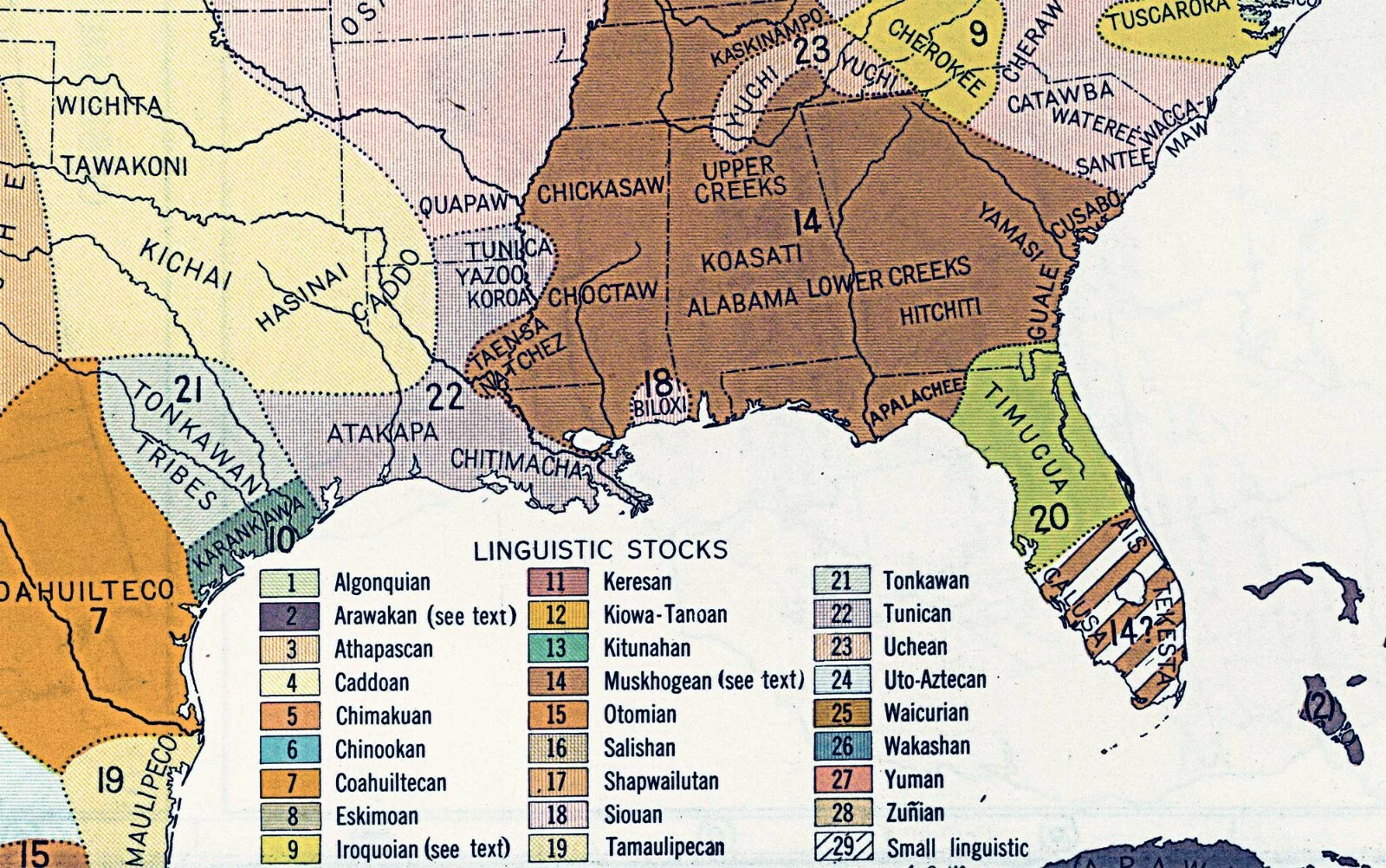 1650 Map US Indian Tribes and Linguistic Languages Stocks Native ...