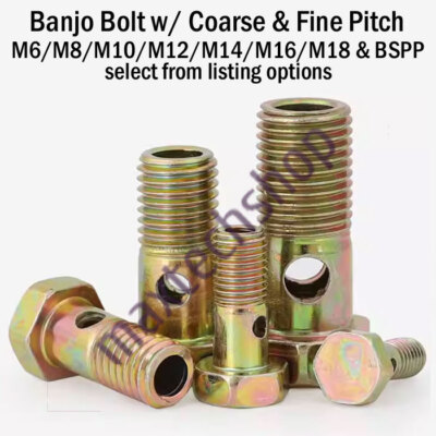 Banjo Bolt M6/M8/M10/M12/M14/M16/M18 Metric Thread BSPP BSP G Fine ...