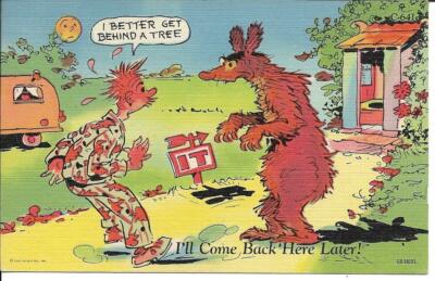 I'll Come Back Here Later Bear and Outhouse - Postmarked 1951 #31316 | eBay