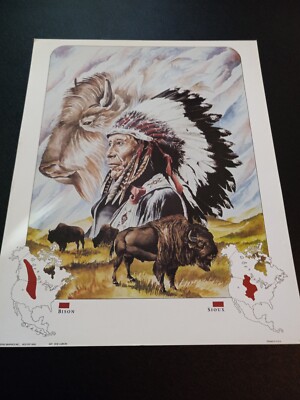 16 X 20" Sioux Chief W/ Buffalo W Maps Picture Print Free Shipping | eBay