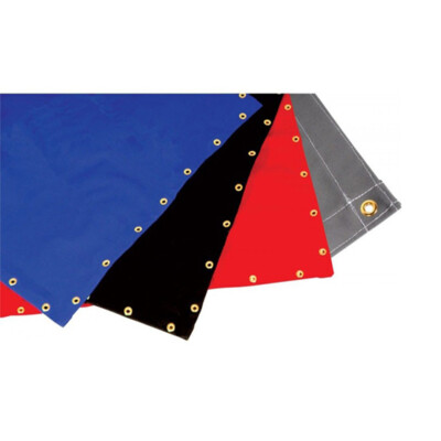 Wrestling Ring Canvas