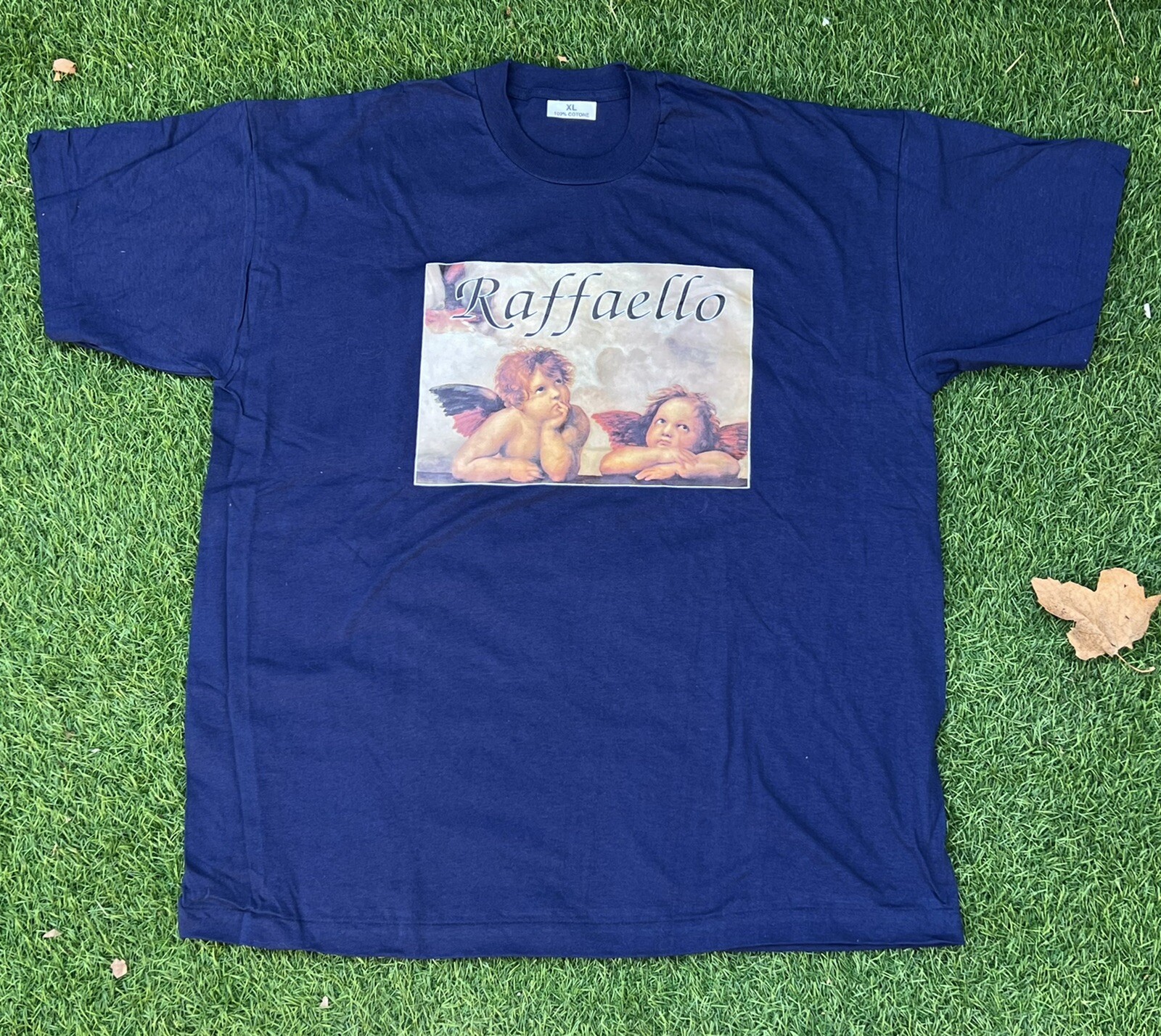 Vintage Raffaello Sanzio Sistine Madonna – Cherubs, A… - Gem