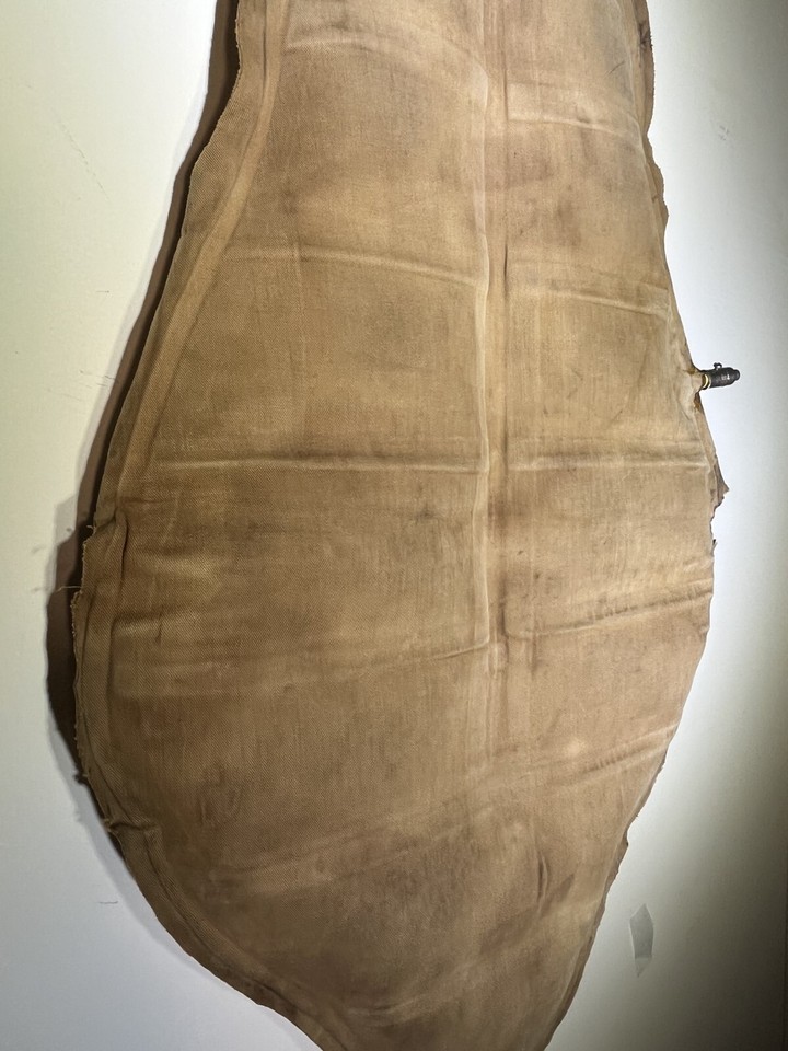 Antique Early 1900 AJ Reach Inflatable Baseball Catcher Chest Protector ...