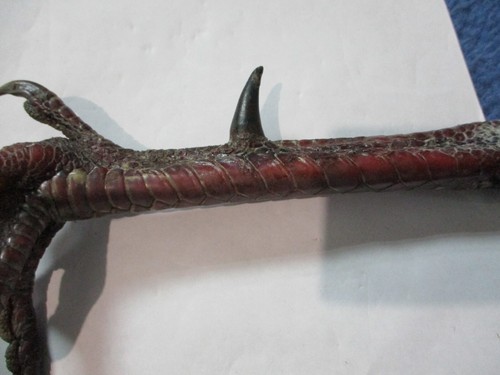 1 Real WILD TURKEY FOOT turkey spur animal art craft mount bird T1 | eBay