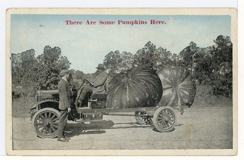 Giant Pumpkins in Antique Automobile Car Exaggeration ca. 1910s | eBay