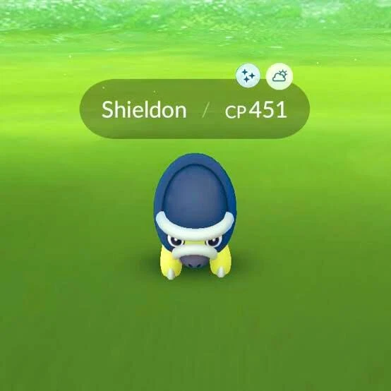 Sheldon Pokemon