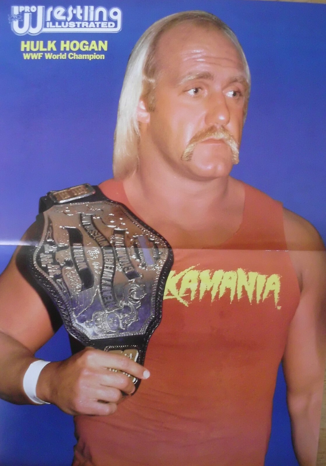 AWA: BEST OF THE 1980s VOL 2 PRO WRESTLING DVD (W-478) | eBay