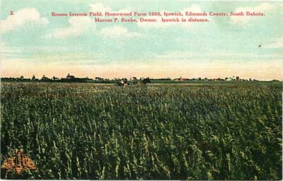 Postcard Bromo Inermis Field Homewood Farm 1908, Ipswich, South Dakota ...