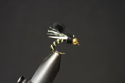 Wet - Chartreuse Flies