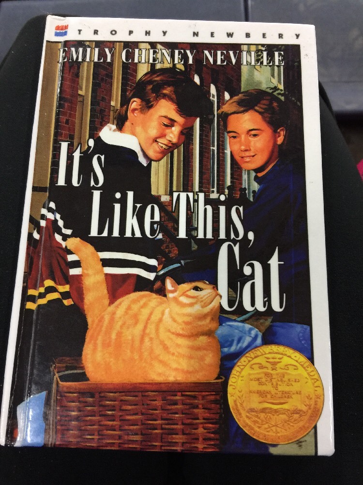 It's Like This, Cat by Emily Cheney Neville 1981 9780808539704| eBay