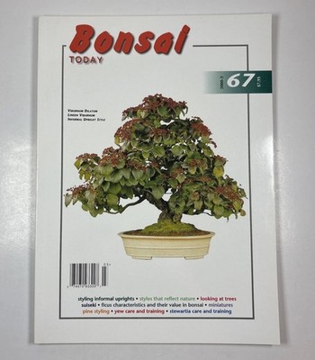 Bonsai Today Magazine 2000 - 3 #67 Viburnum Dilatum Linden Viburnum ...