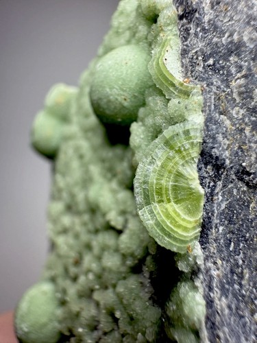 STRIKING! Radiating Wavellite On Matrix Mineral Collector’s Specimen ...