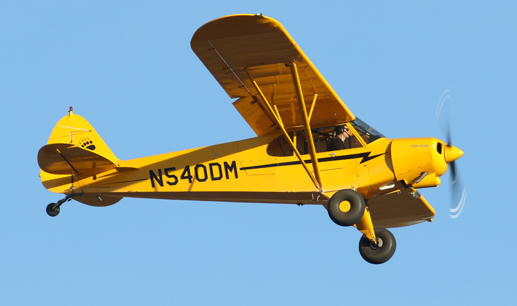 CubCrafters CC18-180 Top Cub Airplane Desktop Kiln Dried Wood Model ...