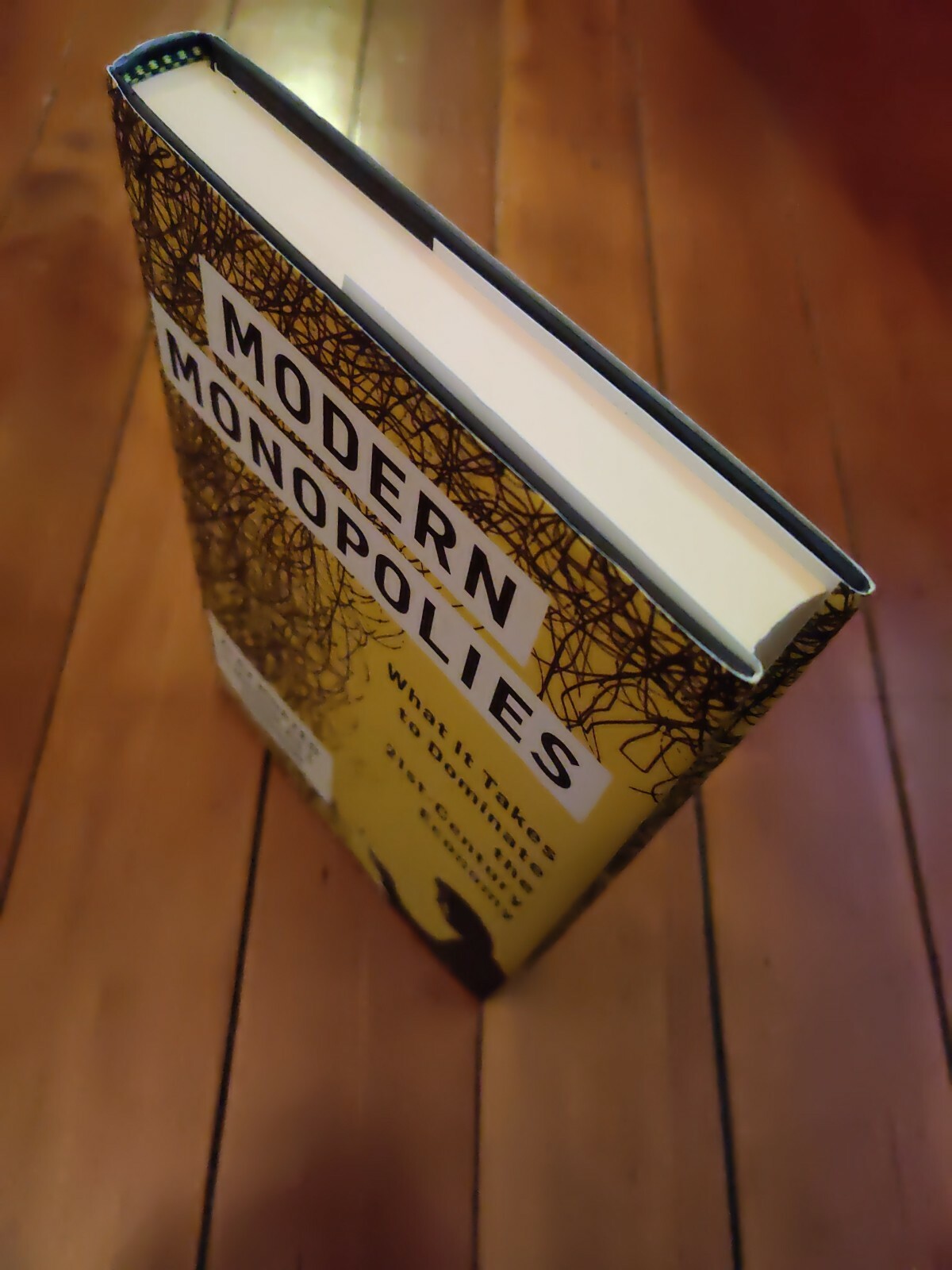 Modern Monopolies : What It Takes to Dominate the 21st Century Economy ...