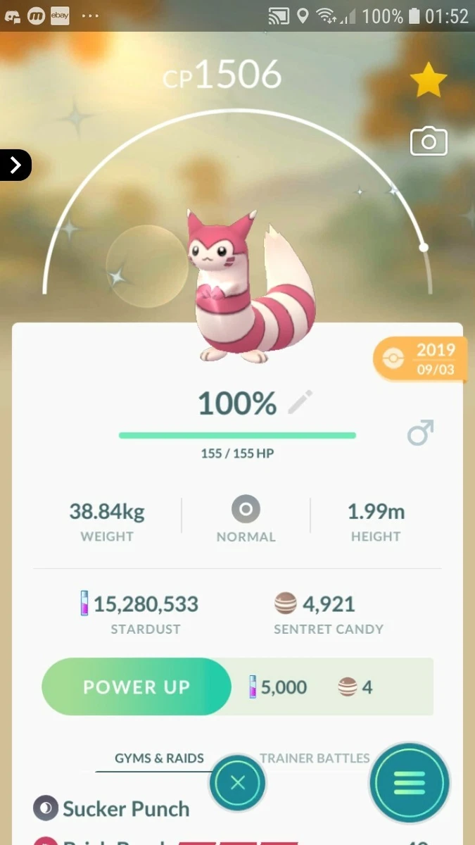 Sentret Pokemon Evolution