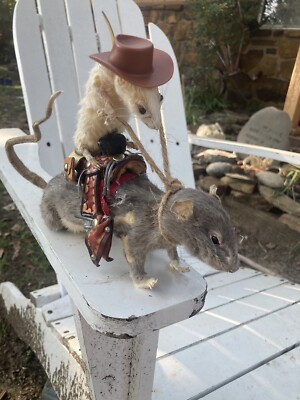 Cowboy Taxidermy Mouse Running A Taxidermy Rat! | eBay