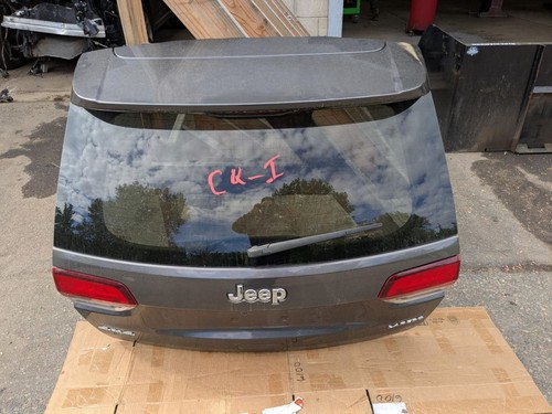 (LOCAL PICKUP ONLY) Trunk/Hatch/Tailgate Wk Body VIN E Or F Fits 14-22 ...