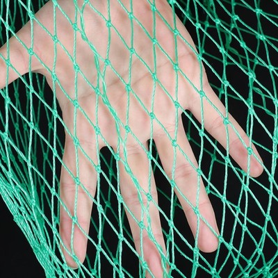 Foldable Fishing Net Bag Green Chicken Net Fishing | eBay