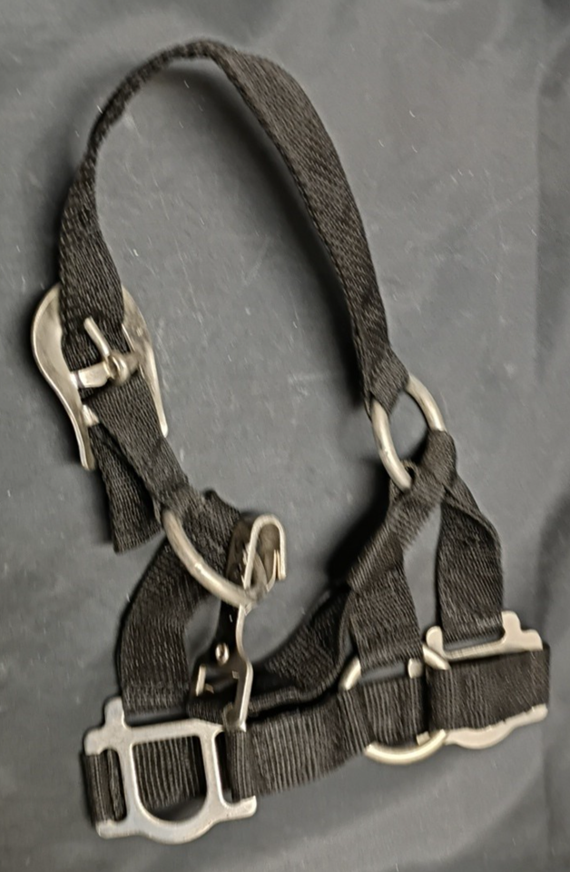 Black Nylon Alpaca Small Animal Horse Halter Stainless hardware | eBay