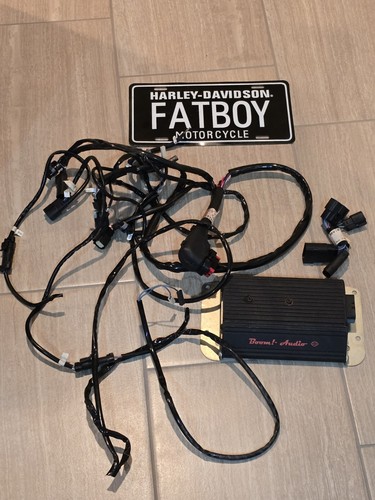 Harley Davidson 14-23 CVO Touring OEM BOOM Audio 75W 4 Channel ...