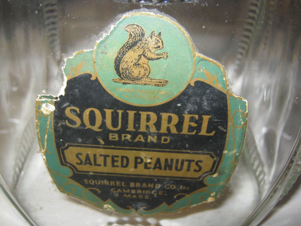 ANTIQUE USA ART DECO KITCHEN HOOSIER SQUIRREL SIGN LABEL PEANUTS GLASS ...