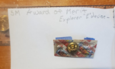 BSA Scoutmaster Award of Merit Award, leader knot, w/ Explorer "E ...