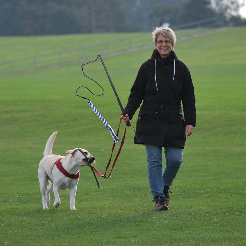 Interactive Dog Toys Flirt Pole Dogs Large Breed Heavy Duty Child Stick ...