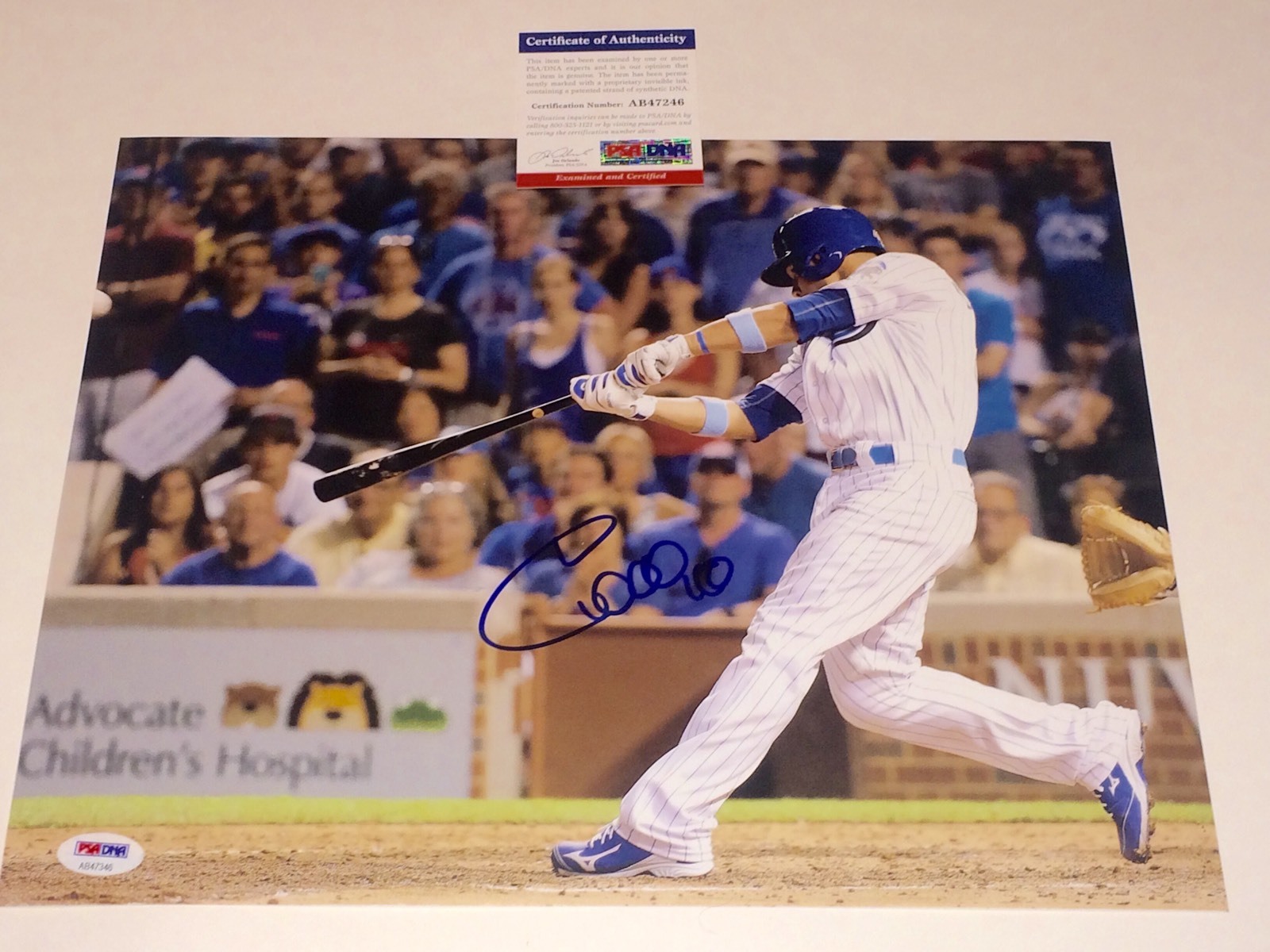 WILSON WILLSON CONTRERAS signed auto autographed 11x14 photo Cubs PSA ...