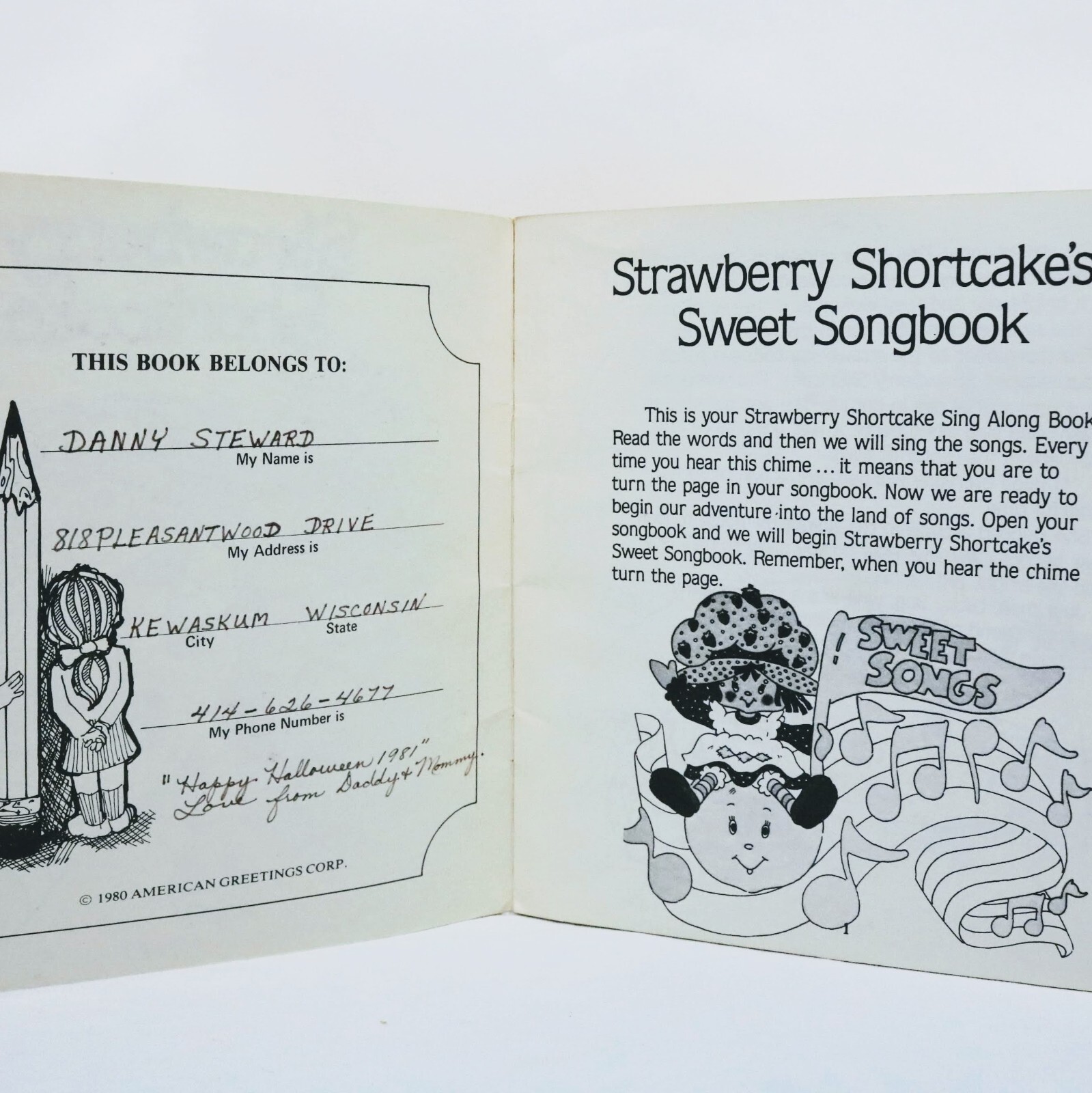 1980 Strawberry Shortcake's Sweet Songs Book and Record | eBay