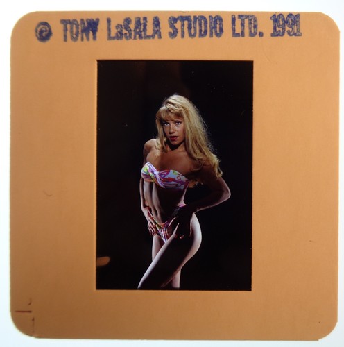 TL11-843 1991 HIGH SOCIETY MAG. MODEL ORIGINAL TONY LASALA 35MM COLOR ...