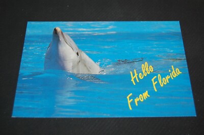 Chrome Postcard showing a Porpoise and with the message "Hello from ...
