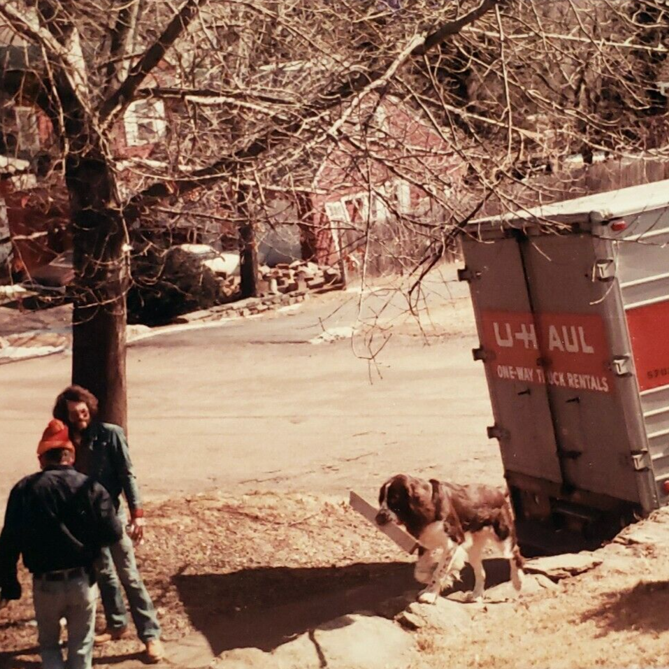 Snapshot Photo Dog Helping Move 1970s Uhaul Trailer Mover Men Found Art ...