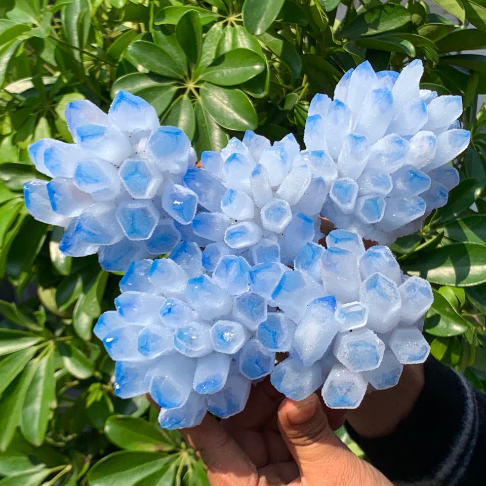 5.38LB New Find sky blue Phantom Quartz Crystal Cluster Mineral ...