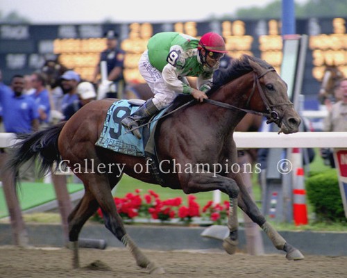"Afleet Alex 2005 Belmont Stakes Foto 8"" x 10 - 24"" x 30" | eBay