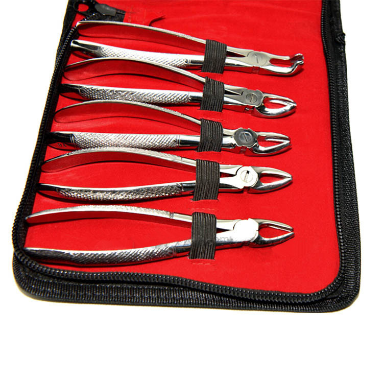 10pcs/set Dental Forceps for Adult Tooth Forceps Tools Dental ...