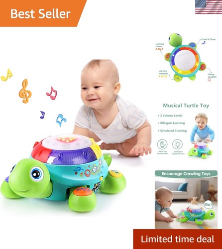 Interactive Turtle Toy with Light & Sound - Ideal Educational Gift for ...