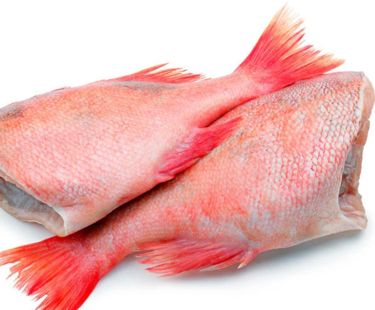 Fresh Red Bream Fish 1 KG – Wild Caught - Cleaned & Ready – Quick UK ...