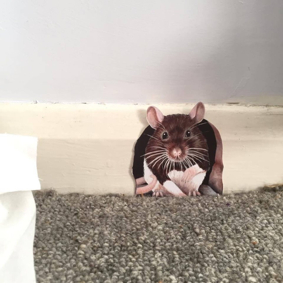 Charming Rat Wall Sticker - Easy to Apply, Reposition and Remove | eBay UK