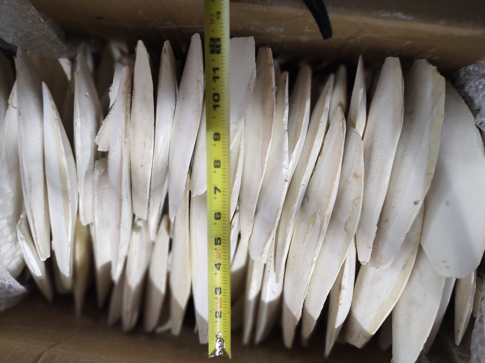 Cuttlebone sepia large 8"-12" bulk 5 lbs pet bird calcium supplement | eBay