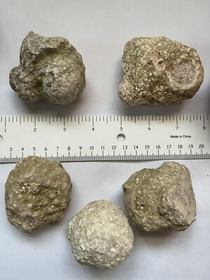 2pc Break Your Own Crystal Canyon Geode, Unopened Geode, Whole Geode | eBay