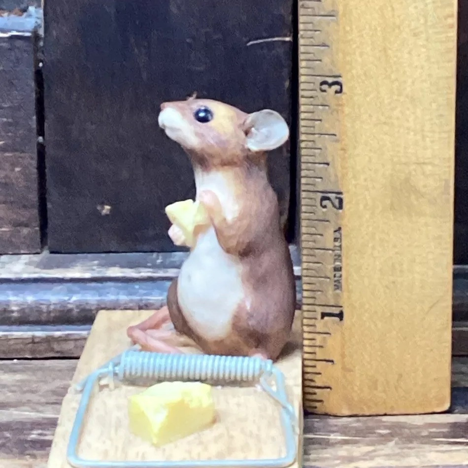 Vintage Aynsley England Mastercraft Resin Mouse Cheese Trap | eBay