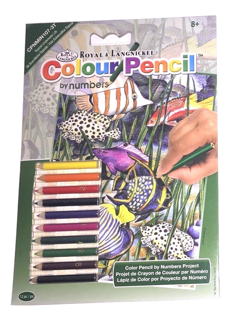 Royal & Langnickel Color Pencil by Numbers ~ Tropical Sea Life (5” x 7 ...