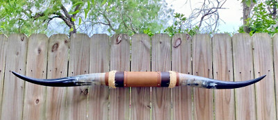 XLg MOUNTED STEER BULL HORNS COW BOY HORN LONGHORNS 5' Ft 59" Tip to ...