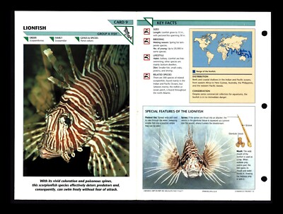 Lionfish Wildlife Fact File Fish Animal Card Home School Study 4.9 | eBay