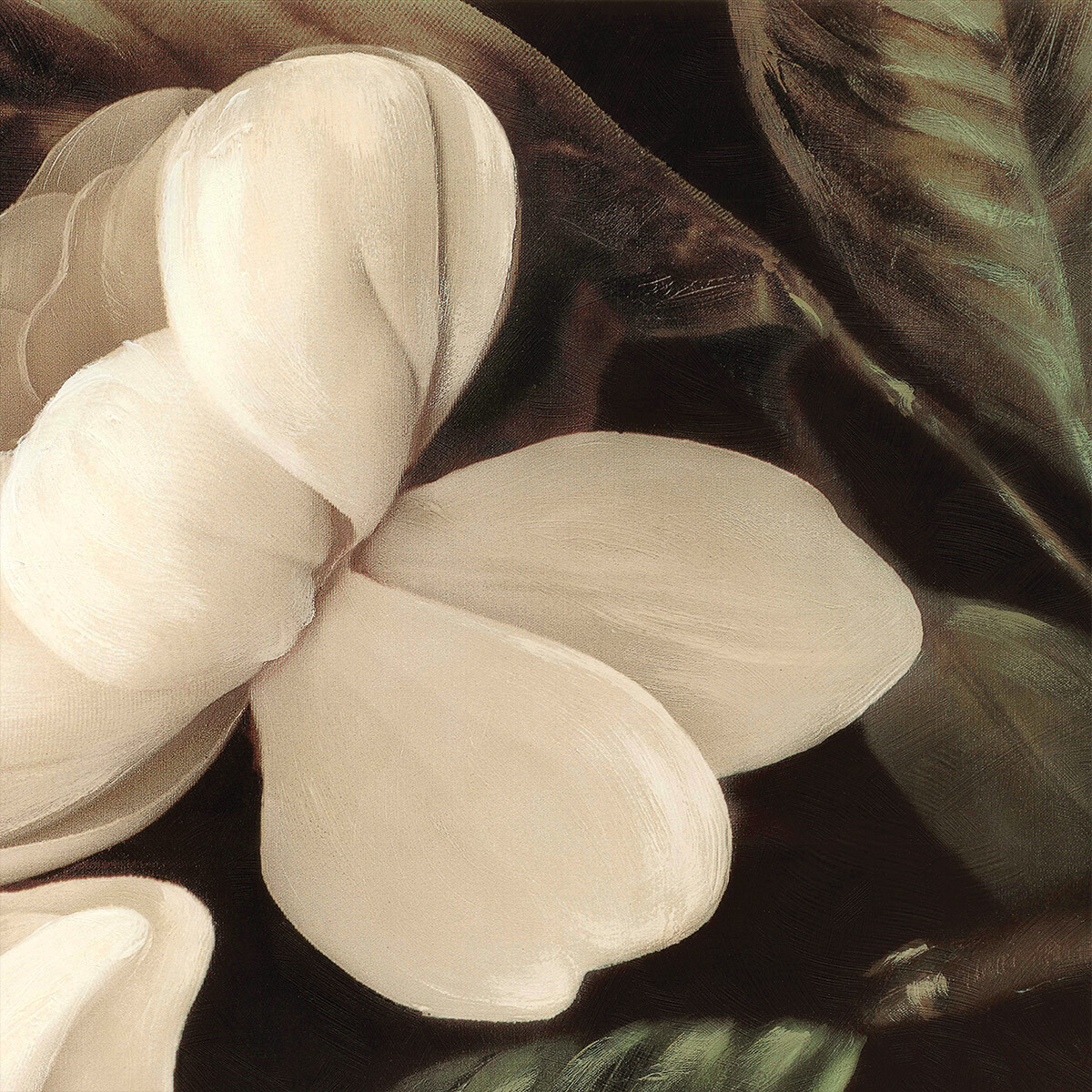 48W"x32H" MAGNOLIA NOIR by PHYLLIS HILBURN - MAGNOLIOIDEAE - CHOICES of ...