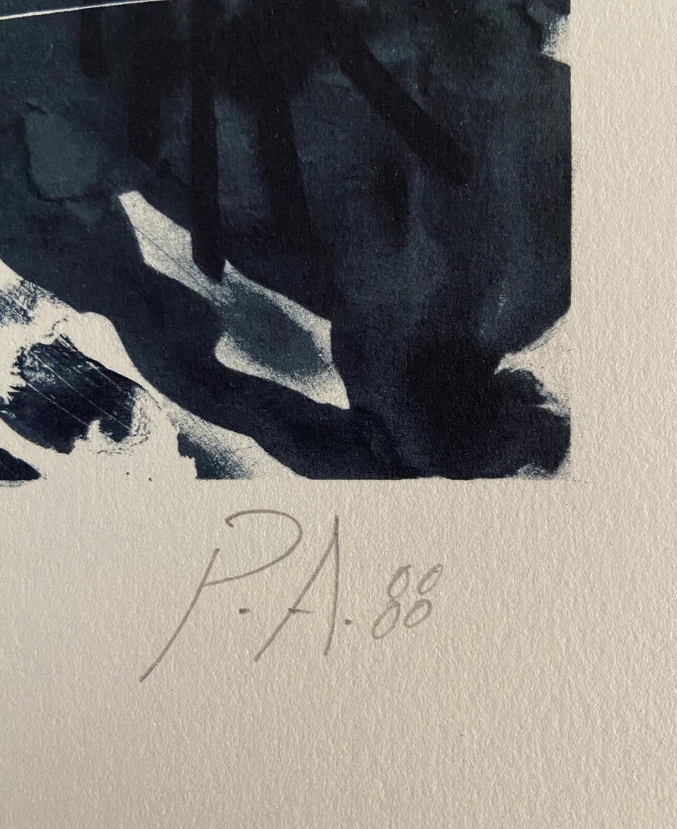 Peter Alexander Artist