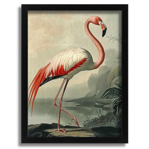 Vintage Flamingo Illustration Retro Flamingo Wall Art Print Bird Poster ...