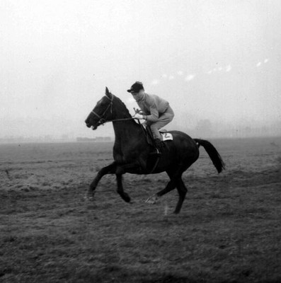 Silver Dome ridden by W Rees and owned by the Queen in action 1963 Old ...