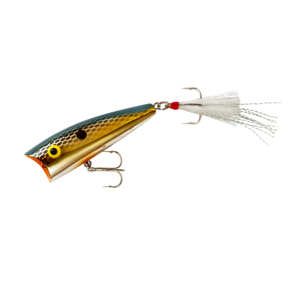 Rebel Pop-R Topwater Popper Bass, Striper, Trout, & Redfish Fishing ...