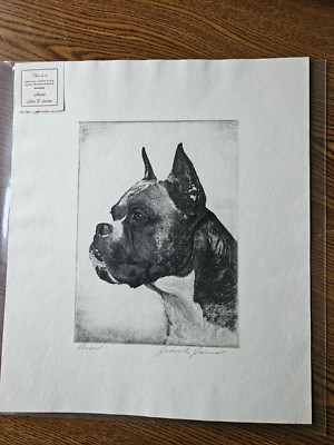 Boxer Copper Plate Hand Pained Etching Sighed by the artist John C ...
